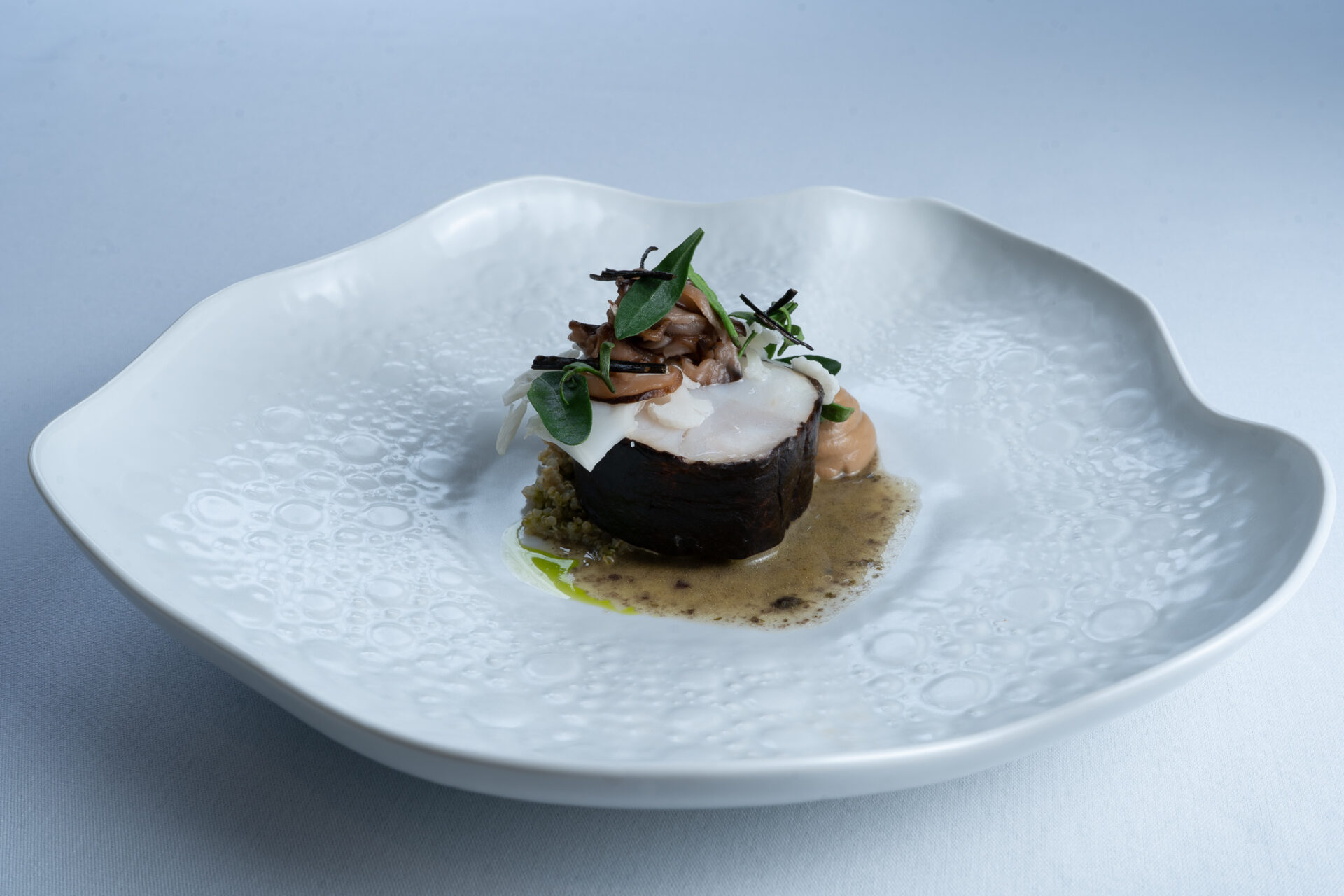 Penmaenuchaf Dolgellau | The Seren Collection