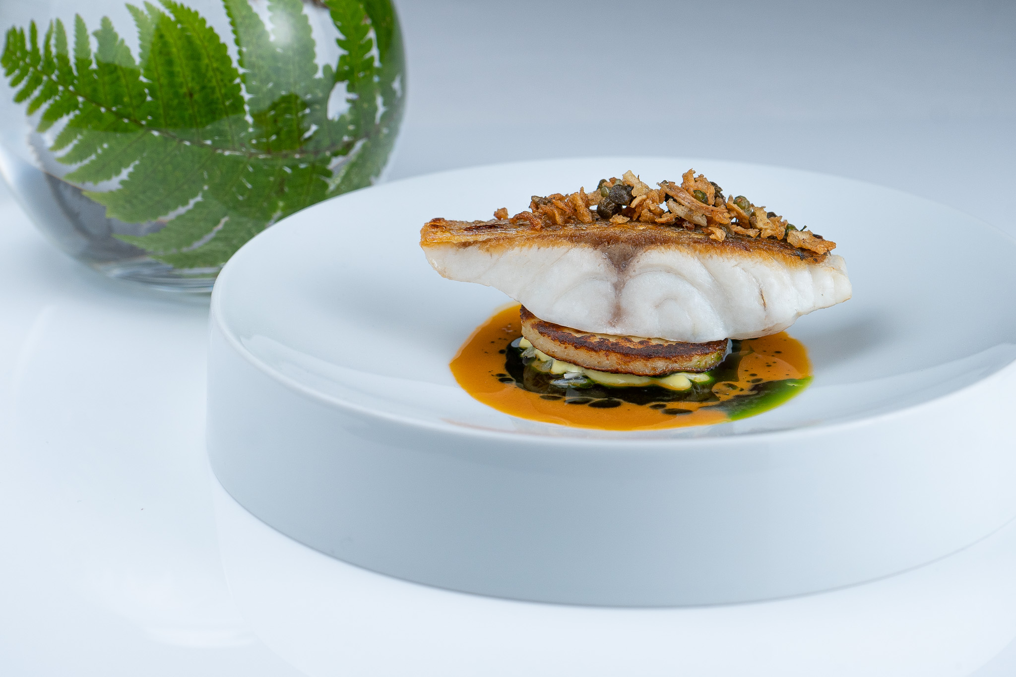 Fernery At Grove Narberth | The Seren Collection