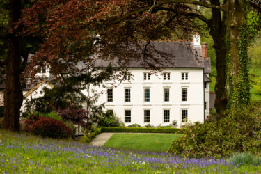 Our Story - The Seren Collection