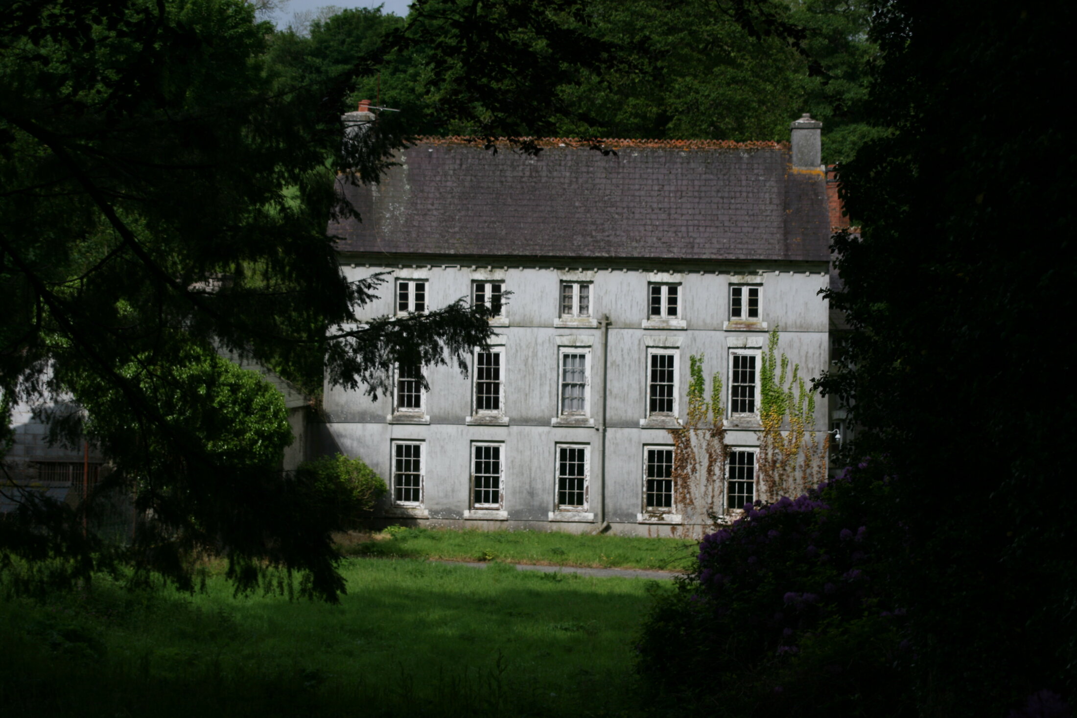 Our Story - The Seren Collection