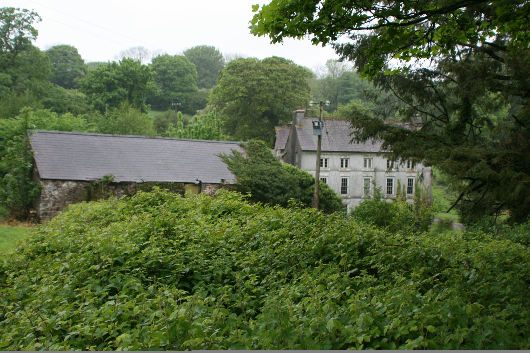 Our Story - The Seren Collection