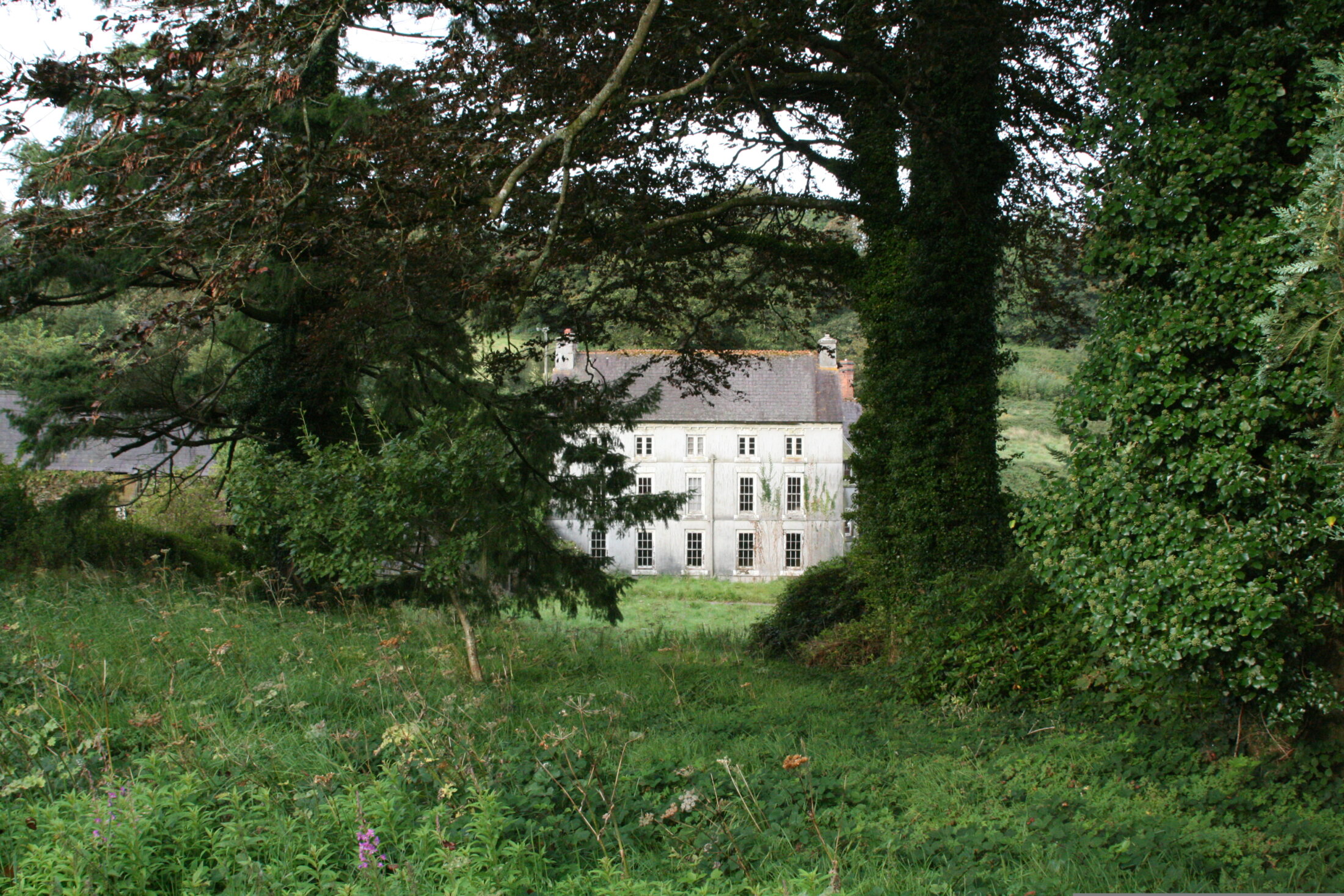 Our Story - The Seren Collection