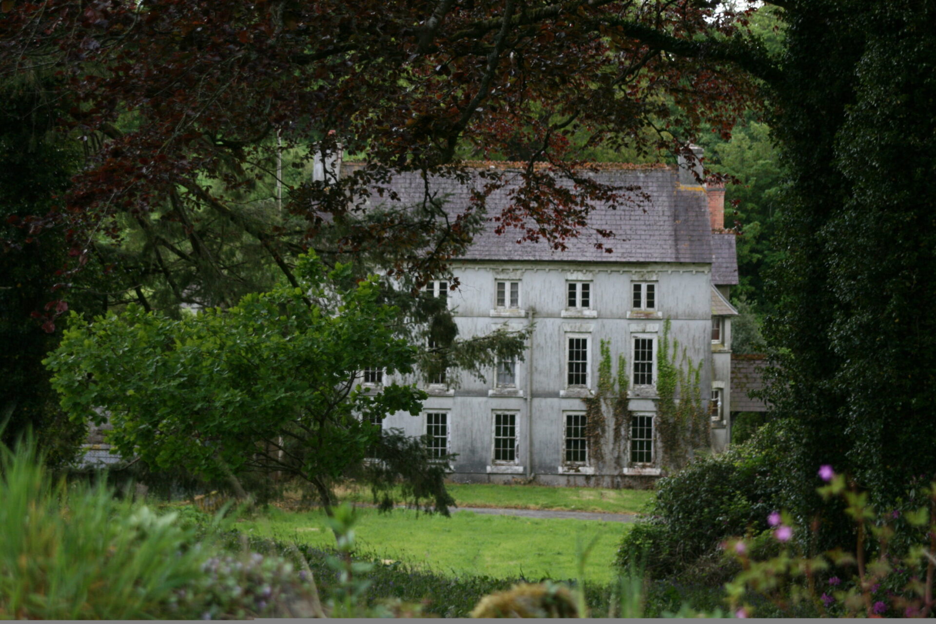 Our Story - The Seren Collection