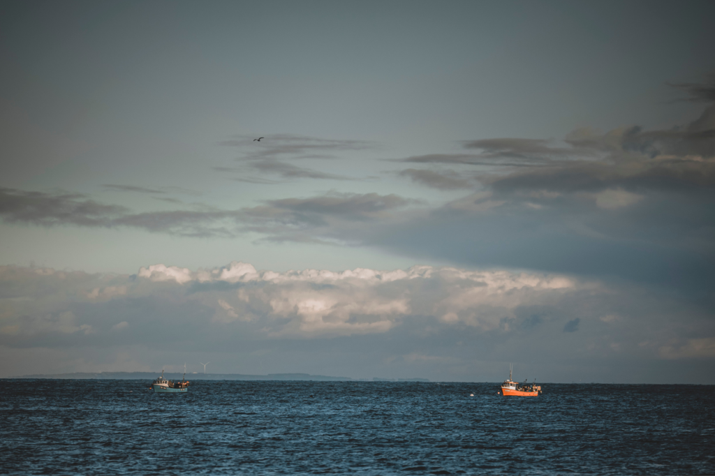 Beach House Oxwich | The Seren Collection